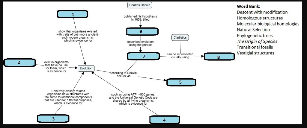 Solved Charles Darwin Word Bank: Descent with modification | Chegg.com