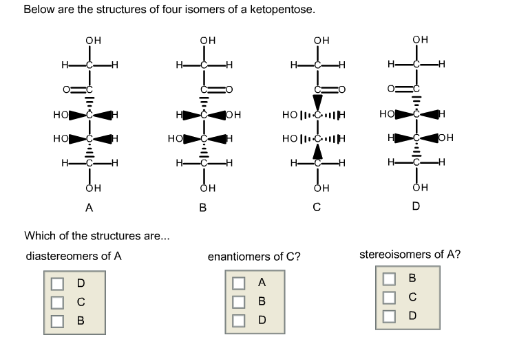 Solved Below are the structures of four isomers of a | Chegg.com
