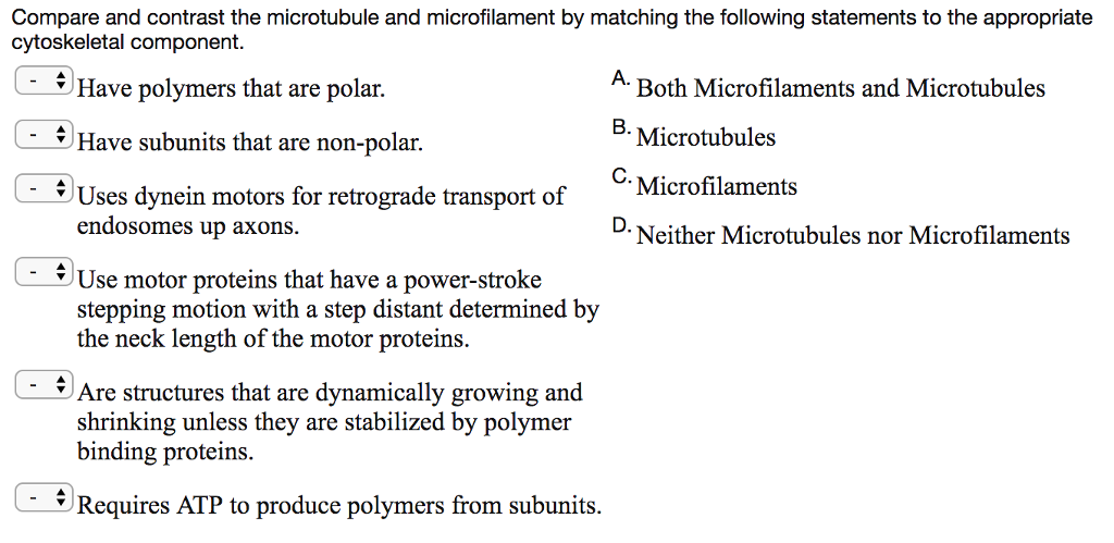 Solved Compare and contrast the microtubule and | Chegg.com