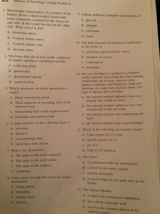 Solved Chapter 15 The Urinary system 321 st. Mrs. Rodriq is | Chegg.com