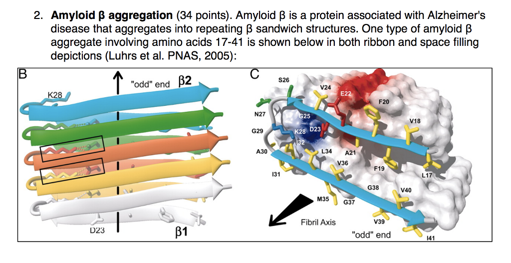 Solved 2. Amyloid β aggregation (34 points). Amyloid β is a | Chegg.com