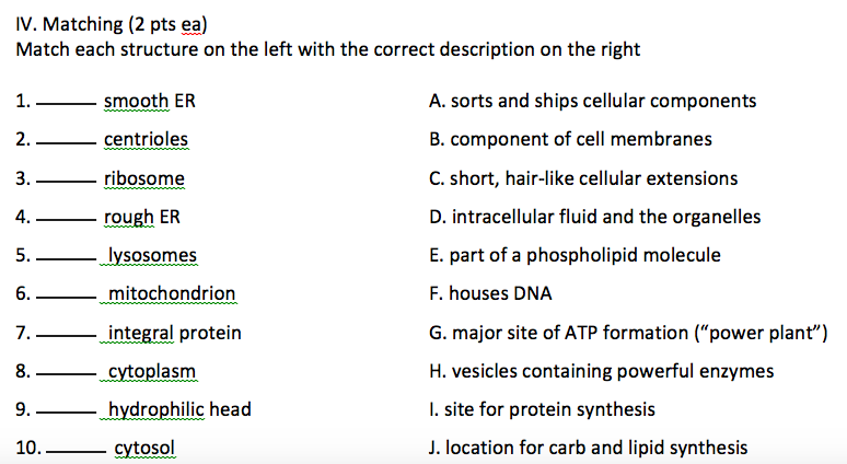 Solved Match each structure on the left with the correct | Chegg.com