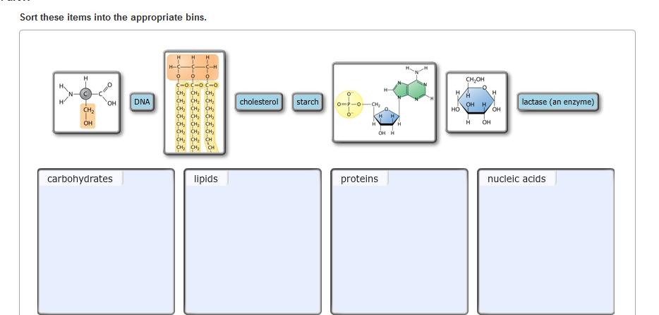 Solved Sort these items into the appropriate bins. | Chegg.com