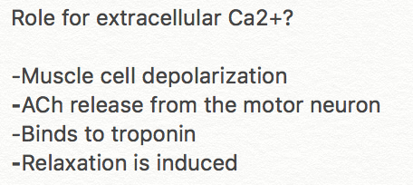 Solved Role for extracellular Ca2+? Muscle cell | Chegg.com