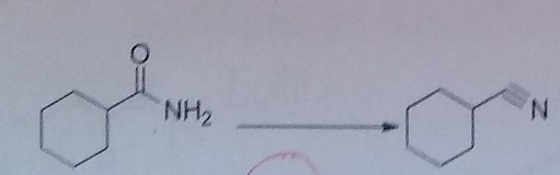 Solved NH2 | Chegg.com