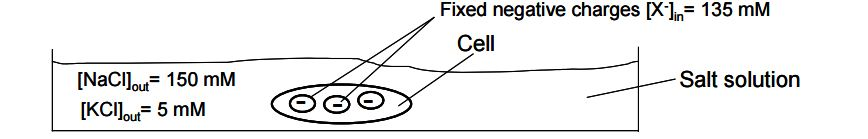 Solved A cell is suspended in a salt solution containing 150 | Chegg.com