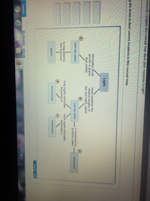 Solved correctly complete this concept map about plant | Chegg.com Solved correctly complete this concept map about plant | Chegg.com