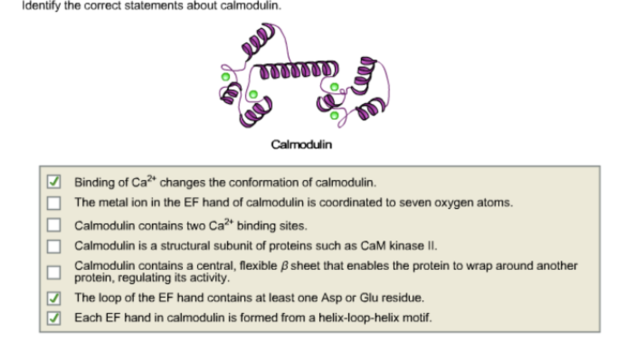 Solved Identify the correct statements about calmodulin. | Chegg.com