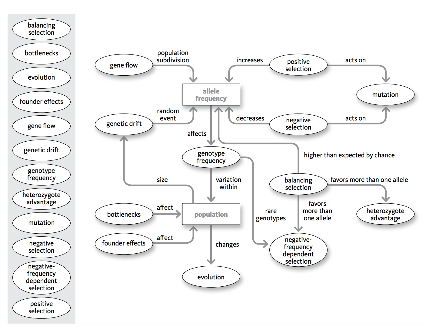 Mechanisms of evolution. Explain the flow chart. | Chegg.com