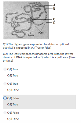 Solved Puffs Q1) The highest gene expression level | Chegg.com