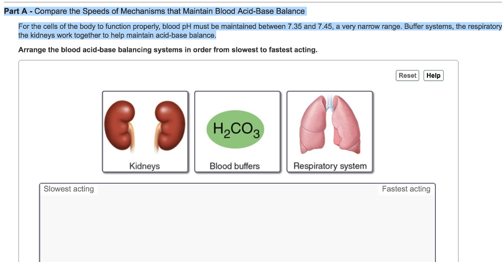 Solved Compare the Speeds of Mechanisms that Maintain Blood | Chegg.com