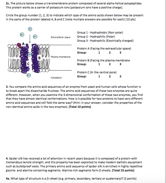 Solved The picture below shows a transmembrane protein | Chegg.com