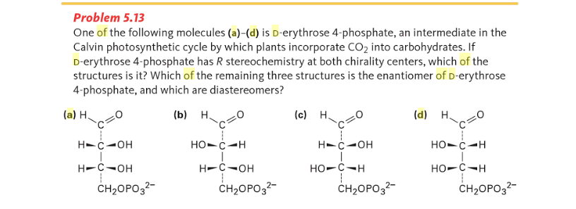 Solved One of the following molecules (a)-(d) is D-erythrose | Chegg.com