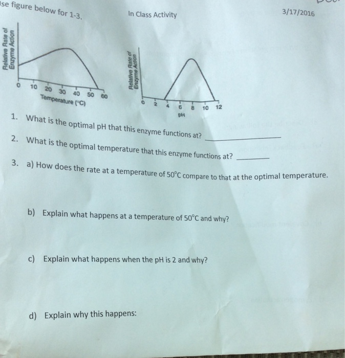 Solved What is the optimal pH that this enzyme functions at? | Chegg.com