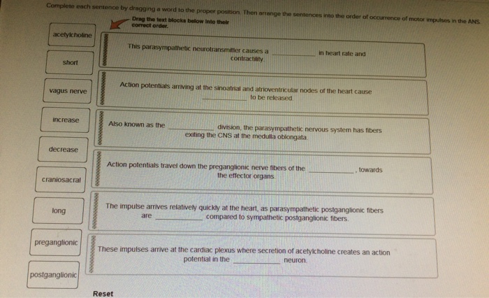 Solved Complete each sentence by dragging a word to the | Chegg.com