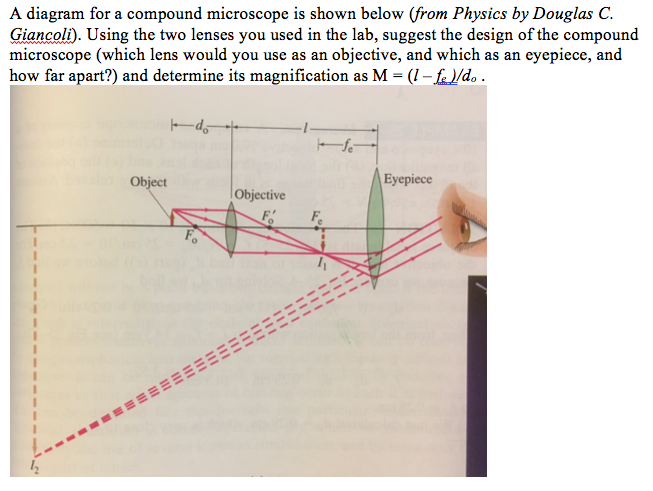 Solved A diagram for a compound microscope is shown below | Chegg.com