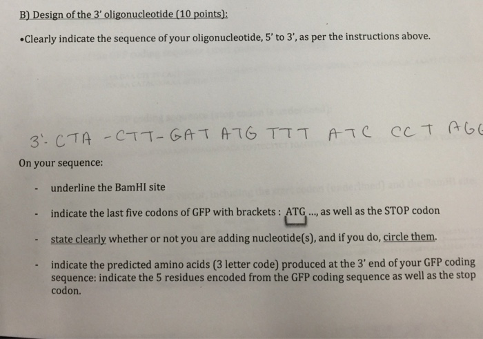 Solved In lab, you amplified the GFP coding sequence by PCR | Chegg.com