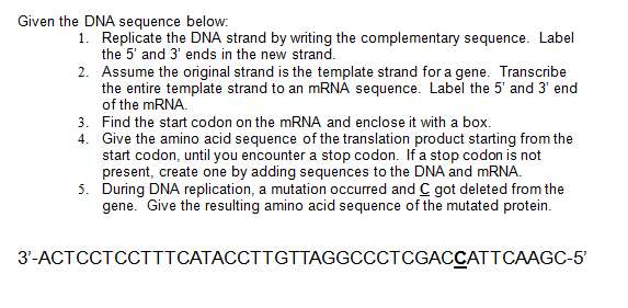Given the DNA sequence below: Replicate the DNA | Chegg.com