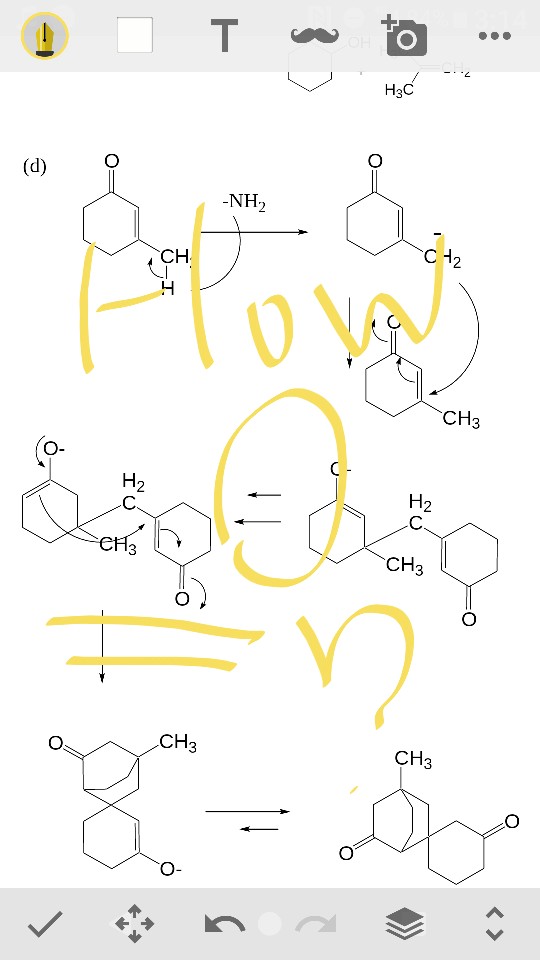 Solved H3C NH O- H2 H2 CH3 CH3 CH3 | Chegg.com