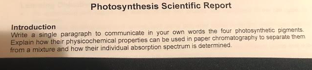 Solved Photosynthesis Scientific Report Introduction Write a | Chegg.com
