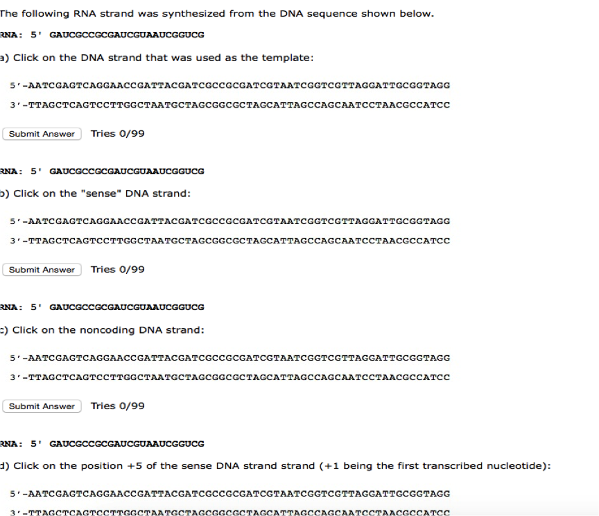 Solved The following RNA strand was synthesized from the DNA | Chegg.com
