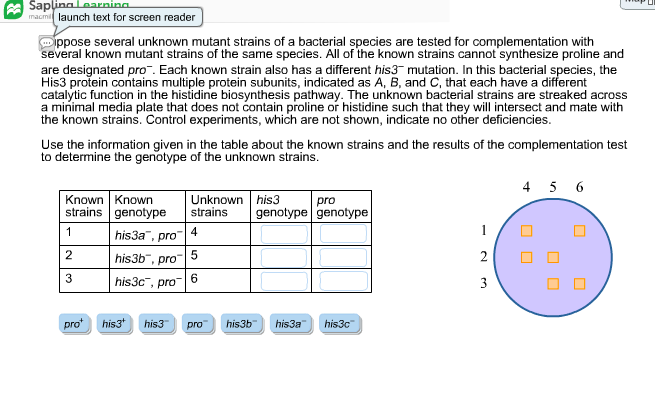 Solved Sap Laarnino launch text for screen reader ppose | Chegg.com