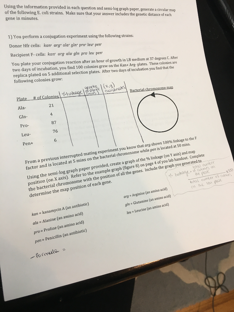 Solved Using the information provided in each question and | Chegg.com