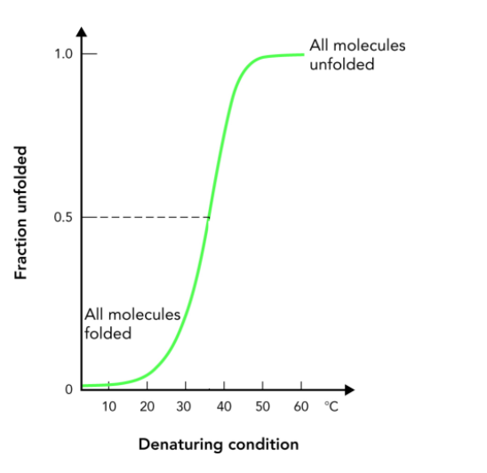 Solved As temperature increases, proteins are less likely to | Chegg.com