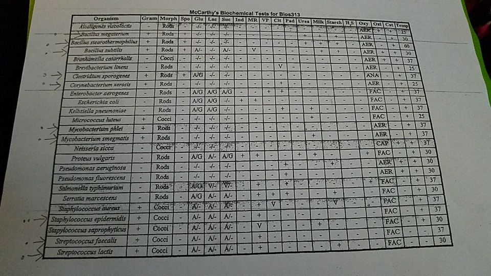 Solved McCarthy's Biochemical Tests for Blos313 Aleatigents | Chegg.com