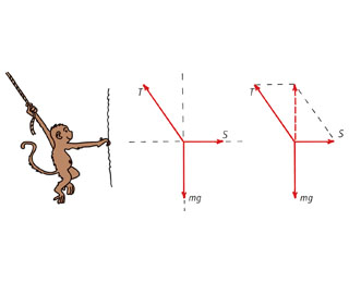 Solved Refer to Monkey Mo in (Figure 1) . The rope makes an | Chegg.com