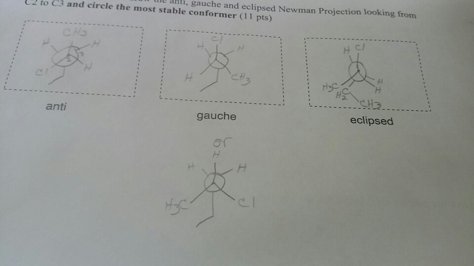 Solved le anti, gauche and eclipsed Newman Projection | Chegg.com
