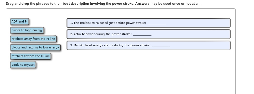Solved Drag and drop the phrases to their best description | Chegg.com