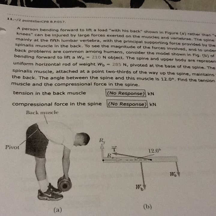 A person bending forward to lift a load "with his | Chegg.com