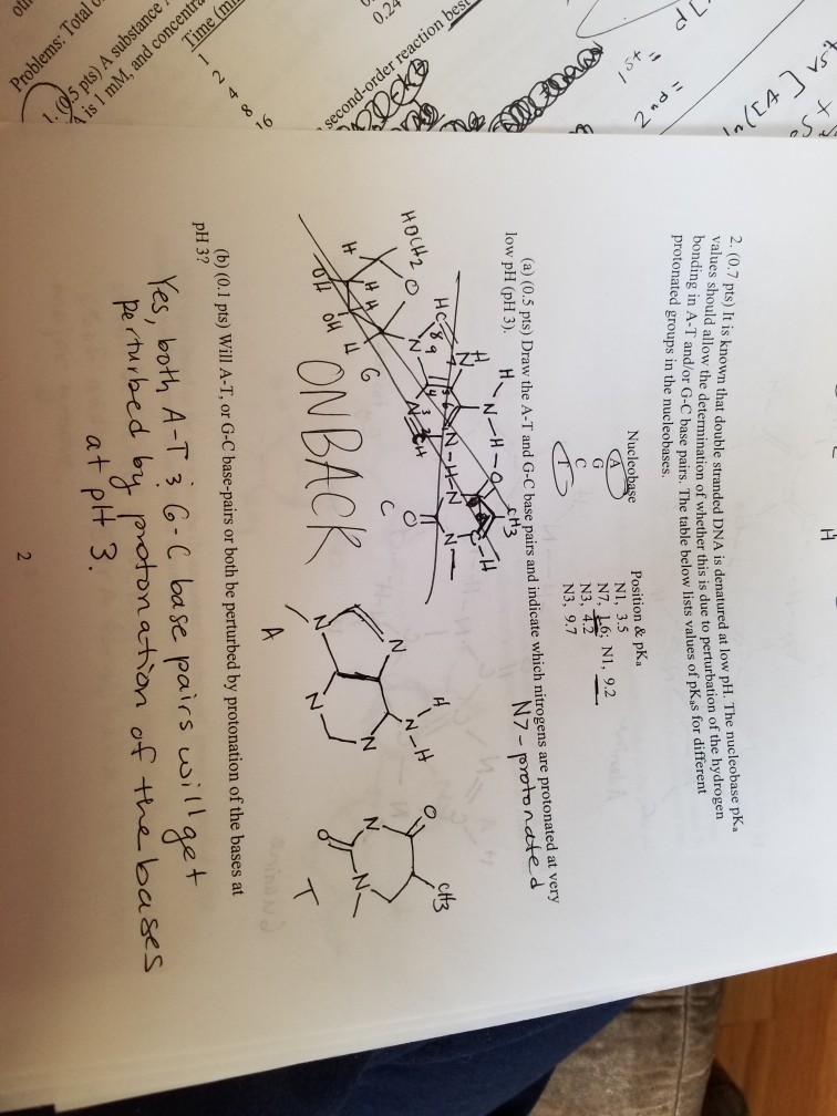 Solved 2. (0.7 pts) It is known at double stranded DNA is | Chegg.com
