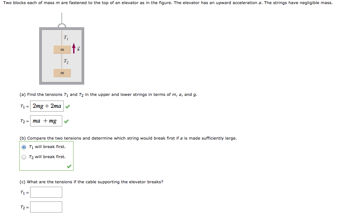Solved Two blocks each of mass m are fastened to the top of | Chegg.com
