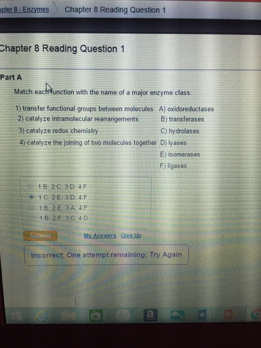 Solved Match each function with the name of a major enzyme | Chegg.com
