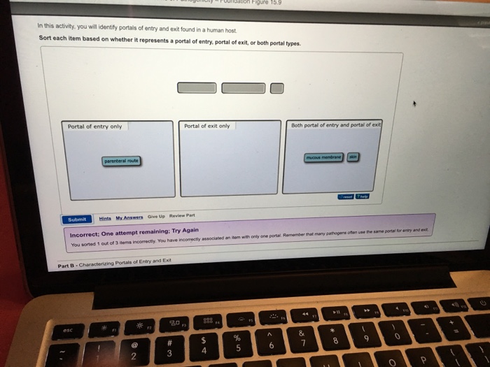 Solved In this activity, you will identify portals of entry | Chegg.com