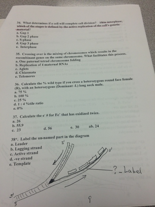 Solved Help | Chegg.com