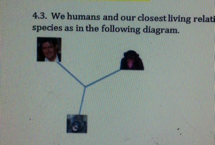 Solved 4.3. We humans and our closest living relatives, | Chegg.com