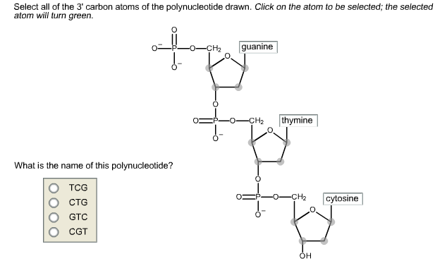 Solved Select all of the 3\' carbon atoms of the | Chegg.com