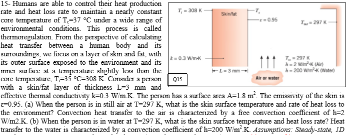 Solved Humans are able to control their heat production rate | Chegg.com