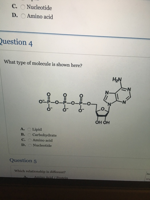 Solved What type of molecule is shown here? Lipid | Chegg.com