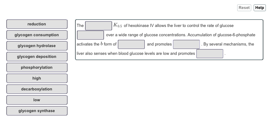 Solved Describe how the action of hexokinase IV helps the | Chegg.com