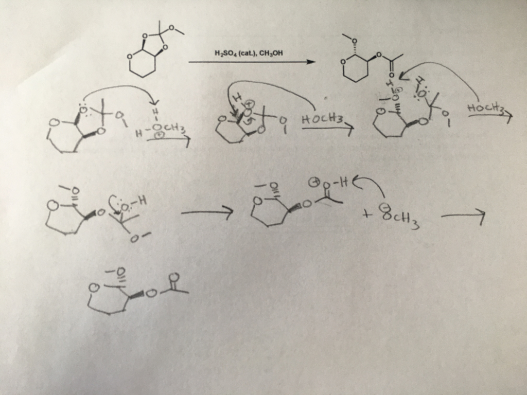 Solved OCHz HzSO4 (cat.), CH3OH o HOCH3 Go-it HoCH. o | Chegg.com