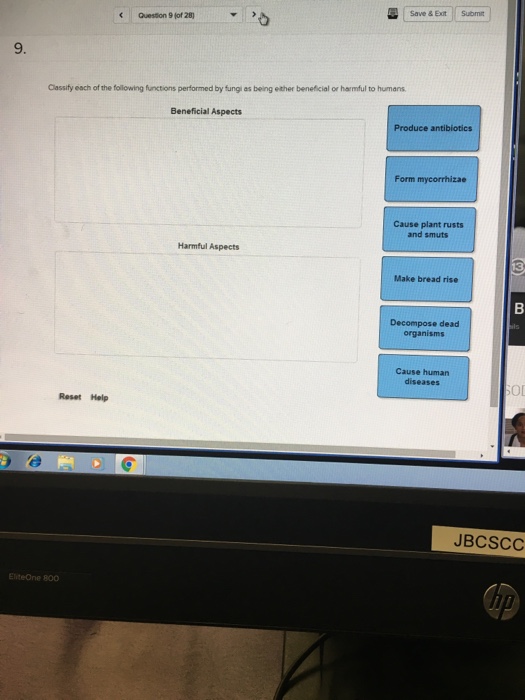 Solved Classify each of the following functions performed by | Chegg.com