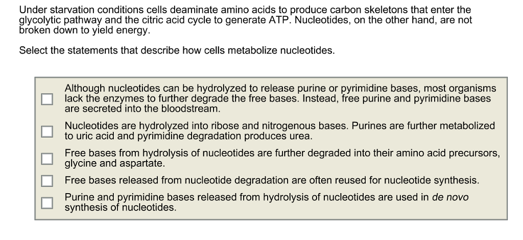 Solved Under starvation conditions cells deaminate amino | Chegg.com