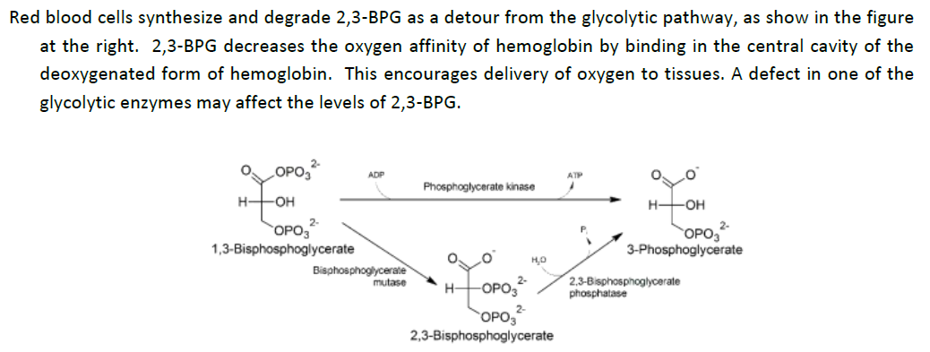 Solved The graph below shows the oxygen-binding curve for | Chegg.com