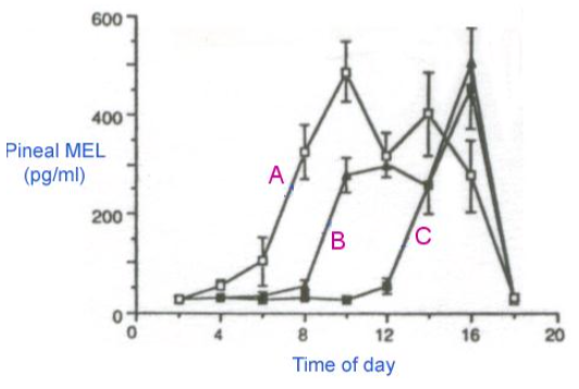 Solved This graph shows data on melatonin concentrations in | Chegg.com