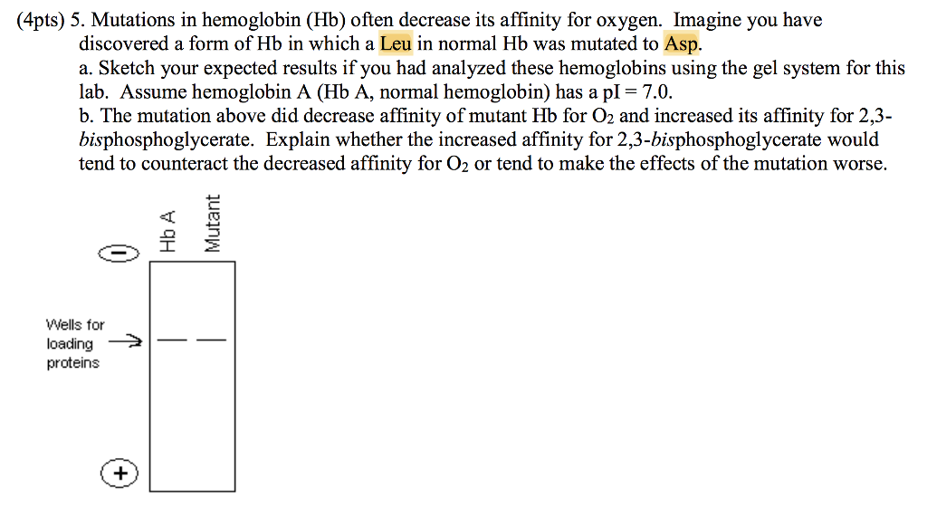 Mutations in hemoglobin (Hb) often decrease its | Chegg.com