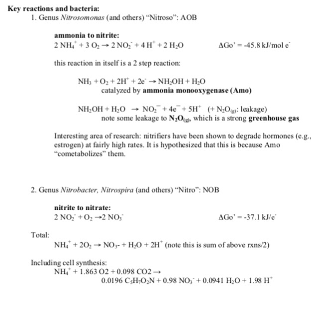 4. Nitrogen assimilation problem (Nitrification notes | Chegg.com